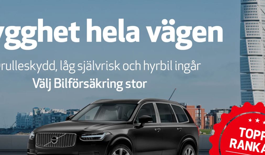 Försäkringstagarens bilmodell och hemstad syns numera i Trygghansa.se ...